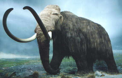 "The Existence of Our Natural Environment.": "EXTINCT MAMMOTH." (Part 1)